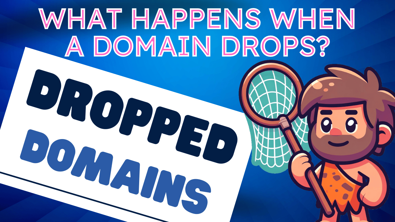 What Happens When a Domain Drops? - Domain Hunting Guides